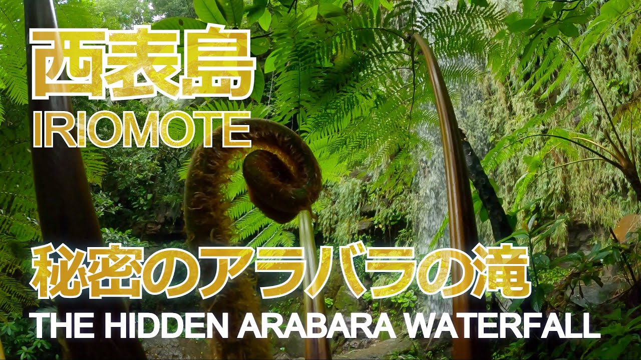 西表島：秘密のアラバラの滝 ／ Iriomote: The Hidden Arabara Waterfall - YouTube