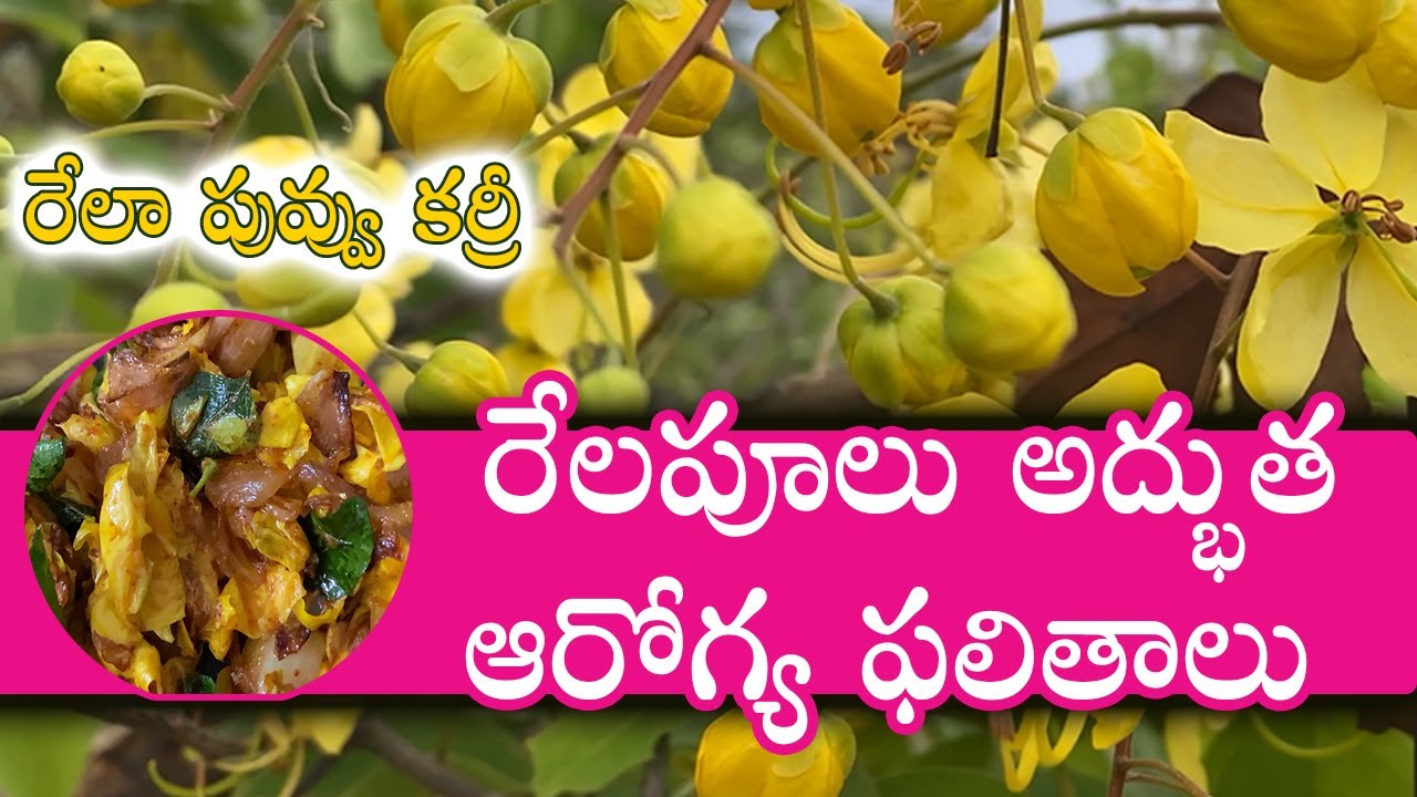 రేల అద్భుత ఆరోగ్య ఫలితాలు | Rela Chettu Health Benefits | Golden Shower ...