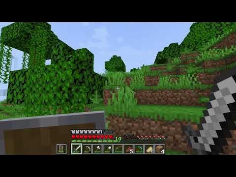 minecraft a 2 fps - YouTube