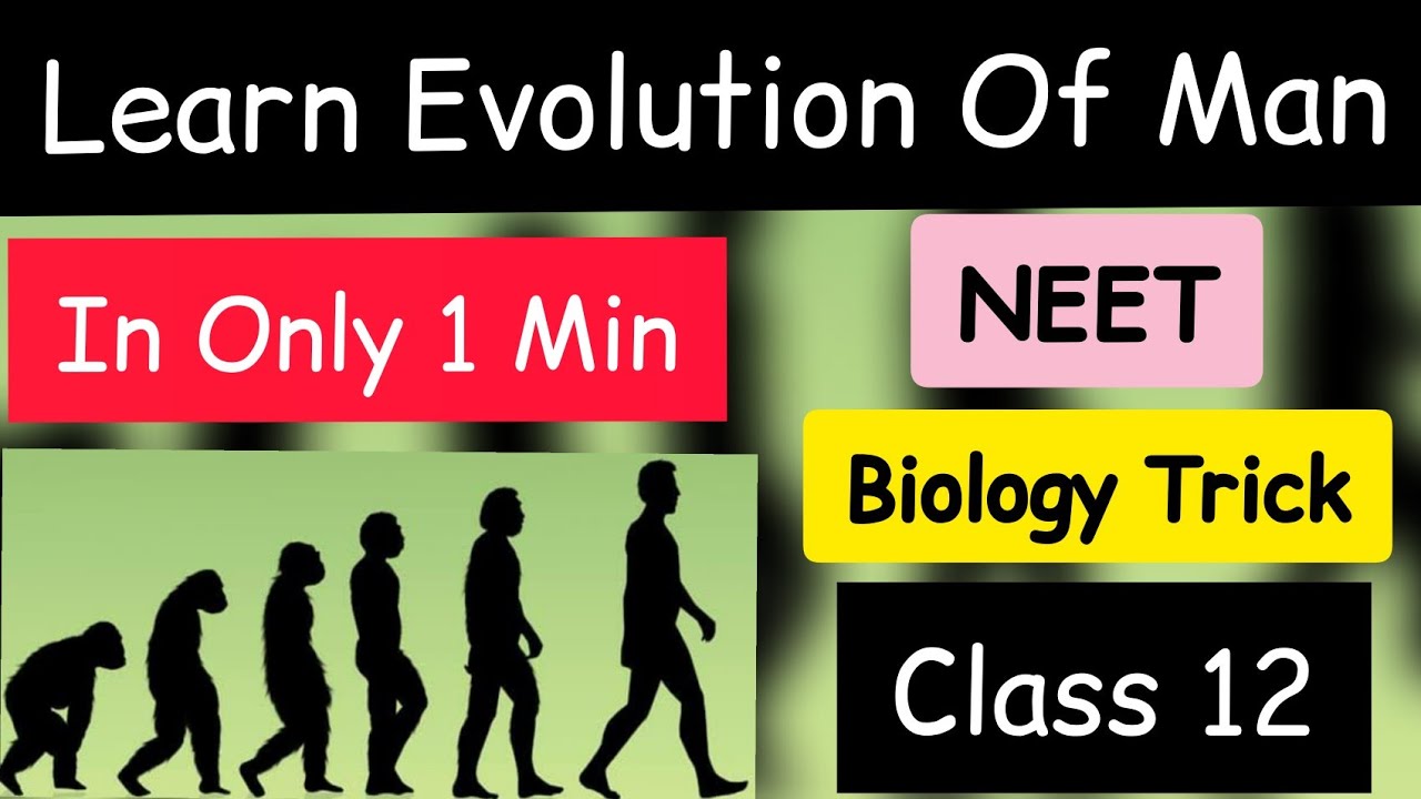 Learn Stages Of Human Evolution In Only 1 Minute | Neet Trick | Class ...