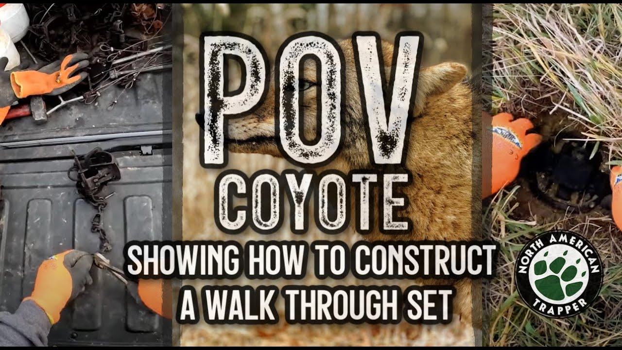 POV ~ COYOTE ~ Showing HOW-TO Construct a WALK THROUGH Set - YouTube