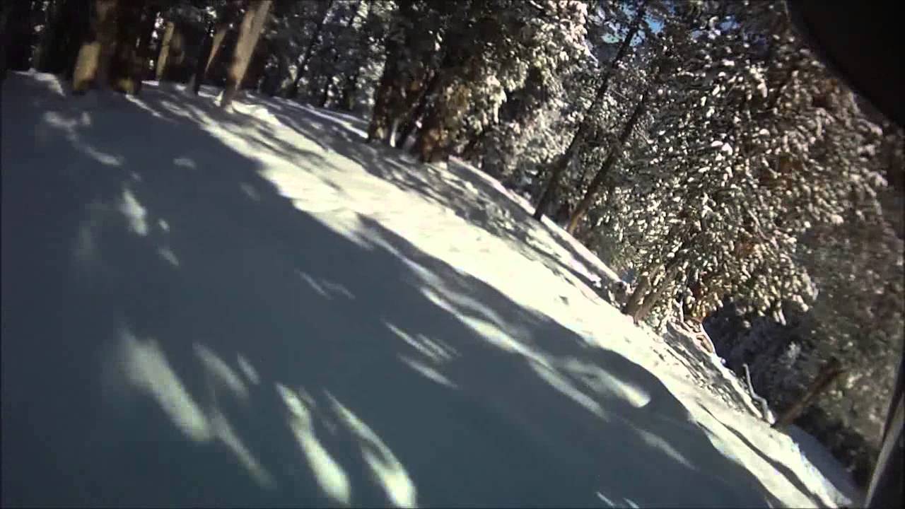 Hitting the pow and dodging fallen trees - YouTube
