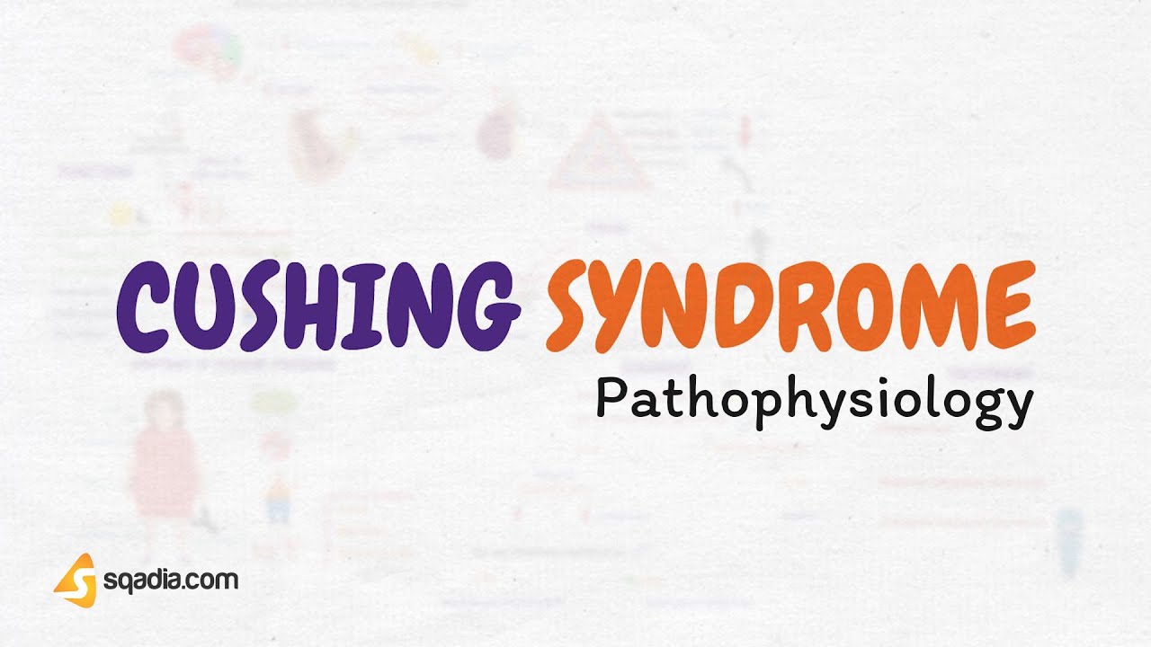 Cushing Syndrome Pathophysiology V-Learning™ | Endocrinology - YouTube