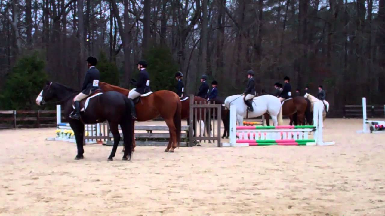 Loralyn Exhibiting " Taliesin's First Rose" (Blue Ribbon Presentation ...