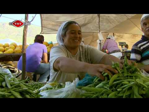 SAKİN ŞEHİR - AKYAKA