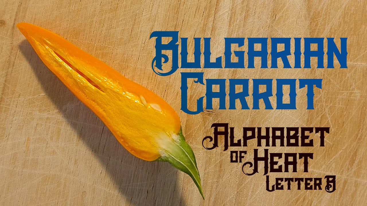 Bulgarian Carrot - A VERY HOT, Very Cool Pepper! The Alphabet of Heat ...