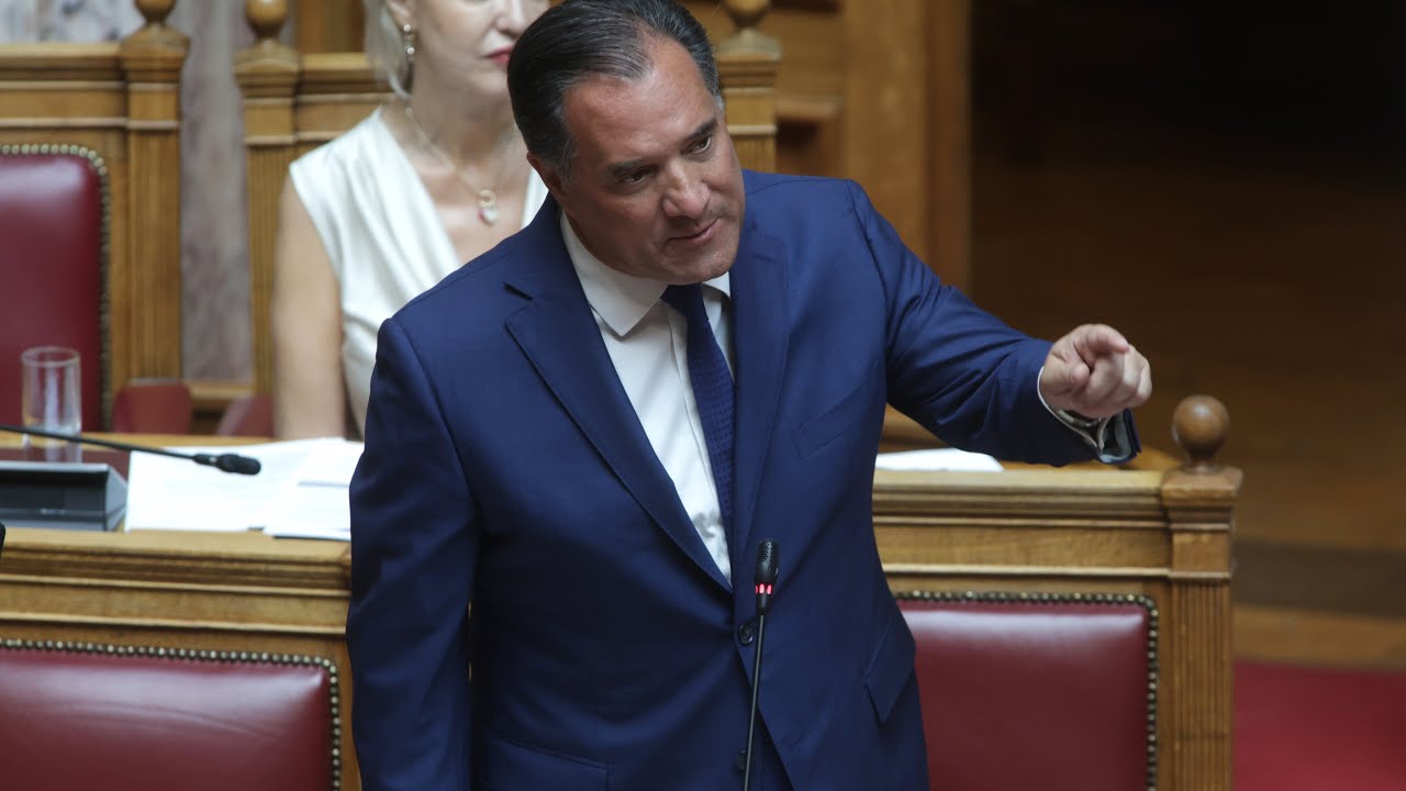 Ο 'Αδωνις Γεωργιάδης σε Ε.Ε.: «Για την κατάσταση στις δομές ψυχικής ...