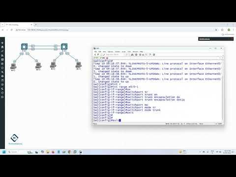 How to configure Trunk in CISCO Switch? | CCNA | CCNP - YouTube