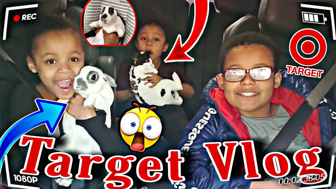 THE BUNNIES GO TO TARGET| Bunny| Rabbit| TARGET vlog | Lec & Lex - YouTube