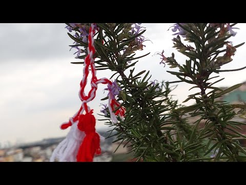 Tığ işi marteniçka bileklik yapımı #wishbracelet #kendinyap  #marteniçka #martenista #dilekbilekliği