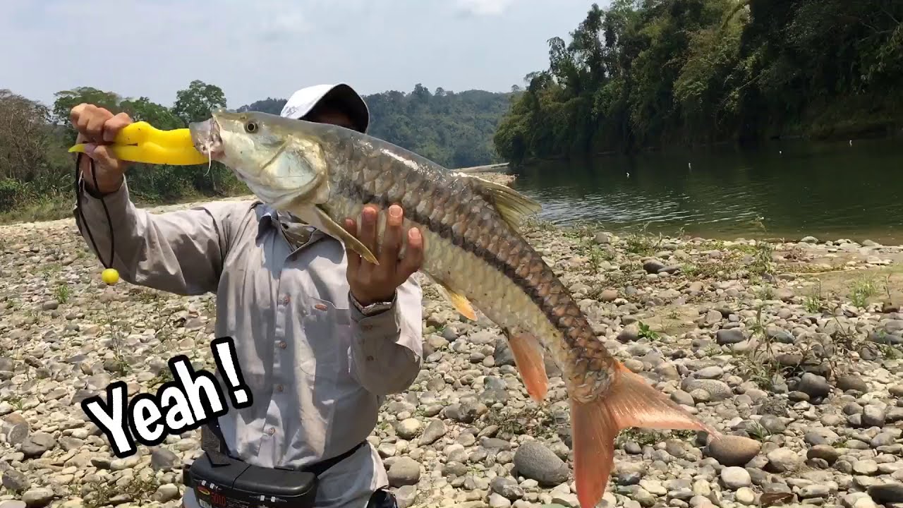 Myanmar Mahseer Fishing Trip ( My Journey My Dream) Lord of River - YouTube