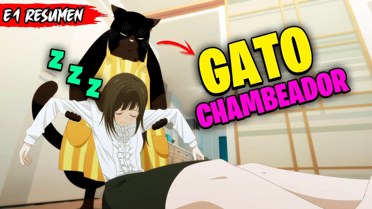 Gato Anime Malvado Crítica De 'Suzume', La Aventura Fantástica En