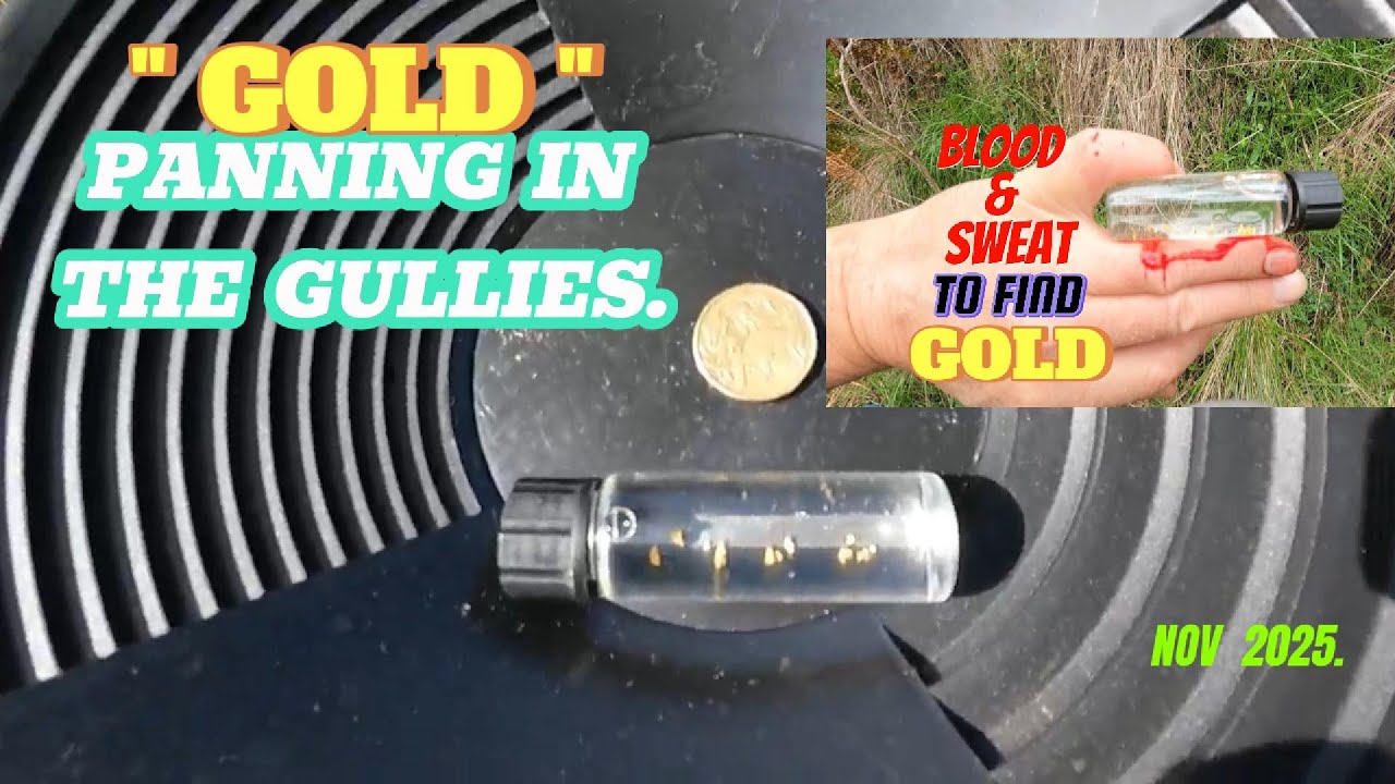 Beginner Panning The Golden Triangle. Panning a Gully in the puddles # ...