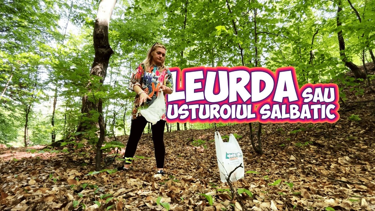 🍃 in padure dupa Leurda sau Usturoiul Salbatic - YouTube