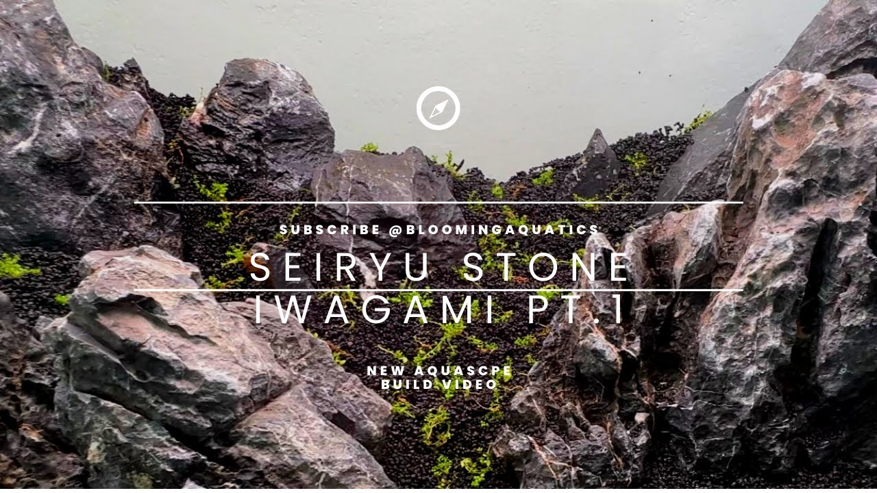 Iwagami Aquascape with Seiryu-type Stone: Serenity Captured - YouTube