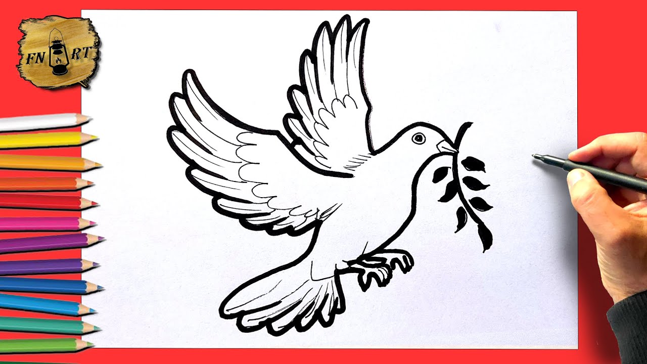How to draw a dove drawing easy step by step - YouTube