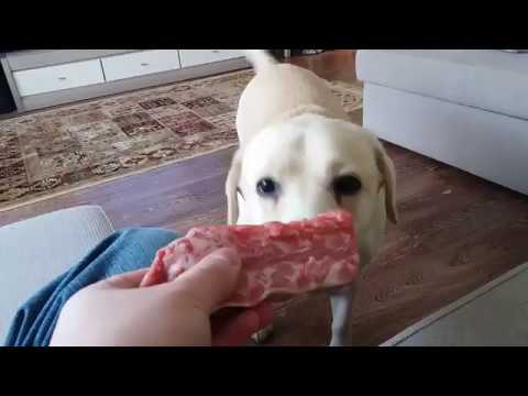 Косточка - YouTube