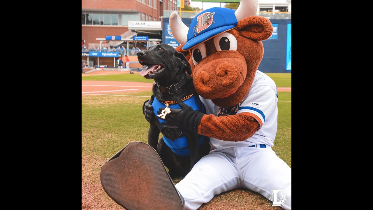 WRAL Out & About - Ripken the Bat Dog at the Durham Bulls April 2022 ...
