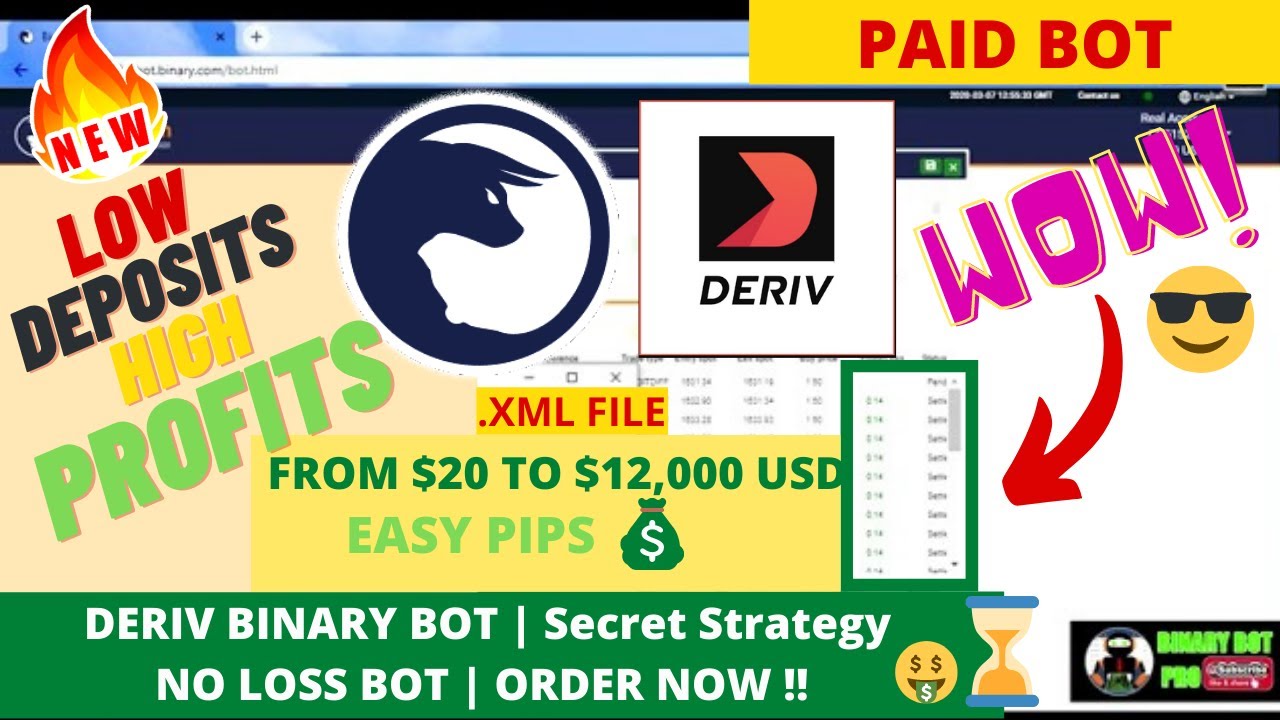 Paid Binary Bot With No Loss Of Investment Full Instructions Included Premium Binary Bot 2020 2591