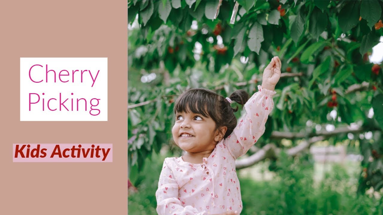 Cherry Picking- Toddler Activity | Indian Family - YouTube
