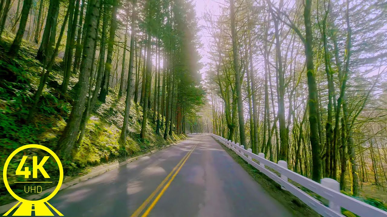 Beautiful Landscapes of Oregon State - 4K Scenic Drive Video - Short ...