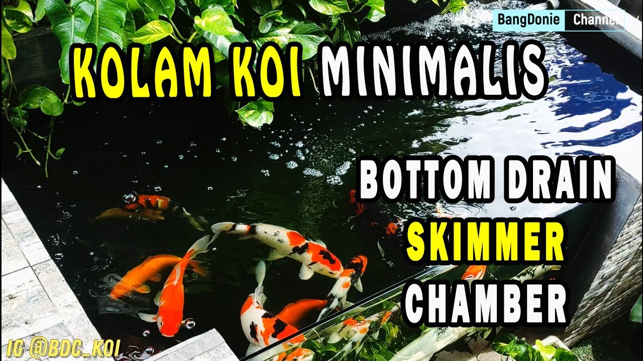 APA ITU BOTTOM DRAIN, SKIMMER DAN CHAMBER // WAJIB PAHAM SEBELUM BUAT ...