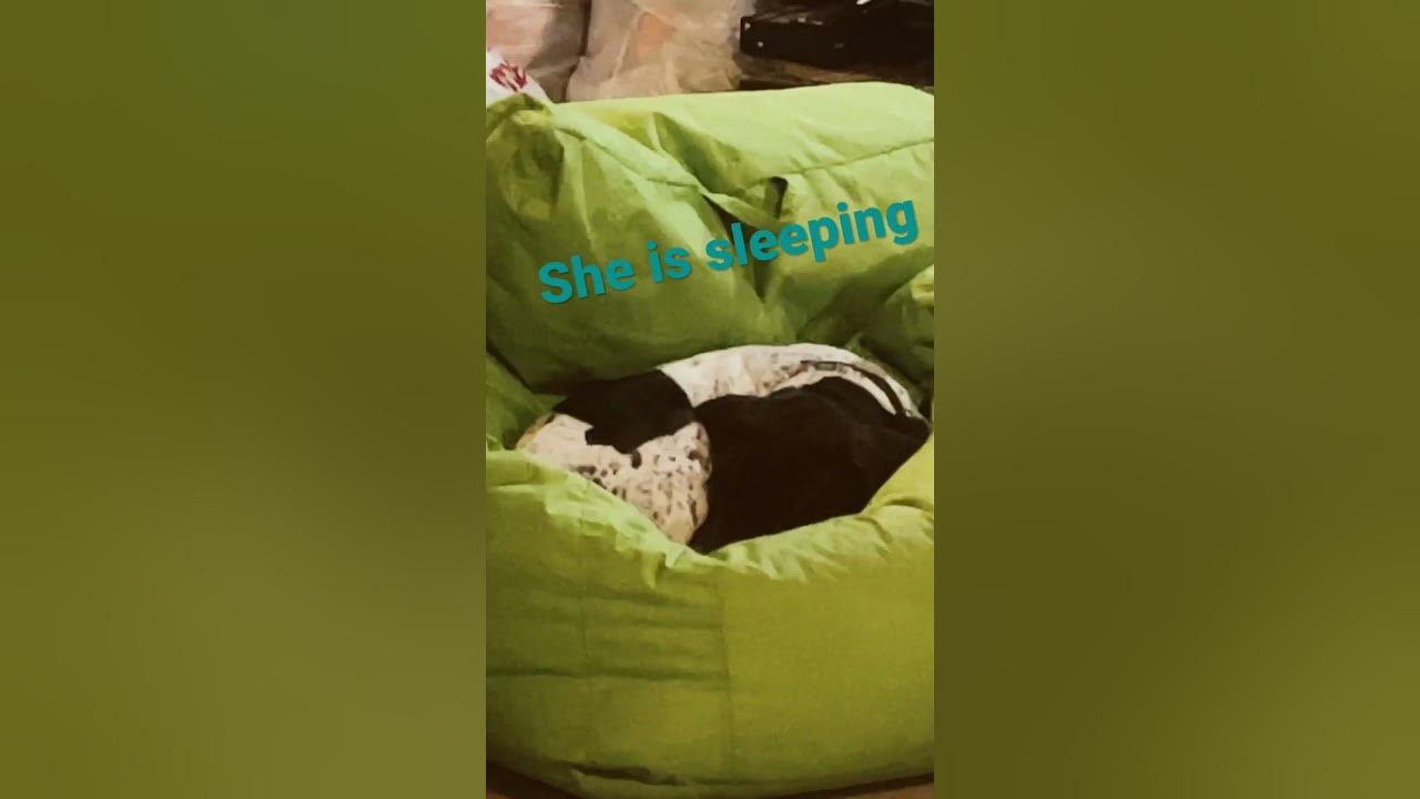 Shh She Is Sleeping YouTube shh-she-is-sleeping-youtube