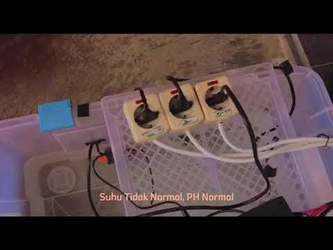 SISTEM PENGENDALI SUHU DAN KADAR PH PADA KOLAM IKAN LELE BERBASIS IOT ...