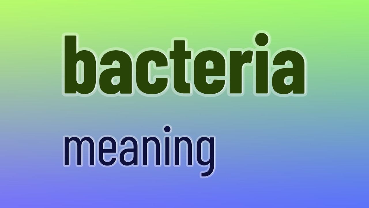 Bacteria - 39 English Vocabulary Flashcards - YouTube
