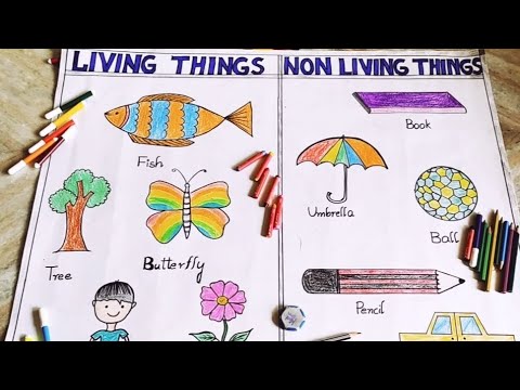 Living things and Non living things drawing easy - YouTube