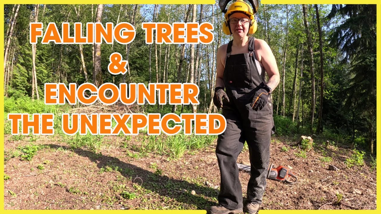 I have only fallen 19 trees this year. I get to work but get scared in ...