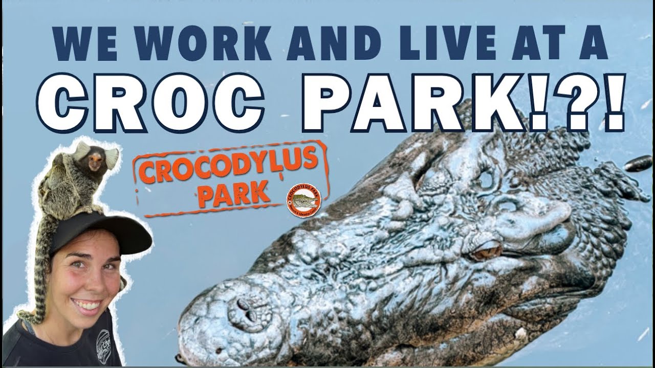 WE LIVE AND WORK AT A CROC PARK IN DARWIN!!! - YouTube