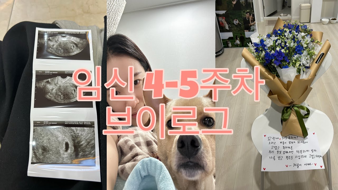 임신 4 5주차 브이로그 임신4주 임테기두줄 임신5주 초음파 임신극초기 임신브이로그 태교 임밍아웃 초음파앨범 Youtube