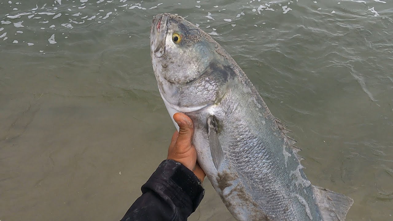 BAD WEATHER = BIG FISH - YouTube