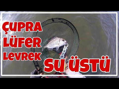 SU ÜSTÜ LEVREK LÜFER ÇUPRA AVI ESKİ TARİHLİ ( Fishing For Seabass ...