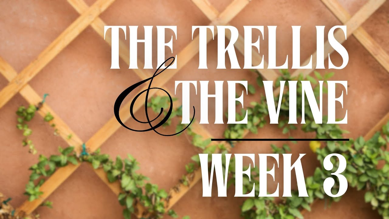 The Trellis and the Vine Class | Week 3 | Chapter 3 - YouTube
