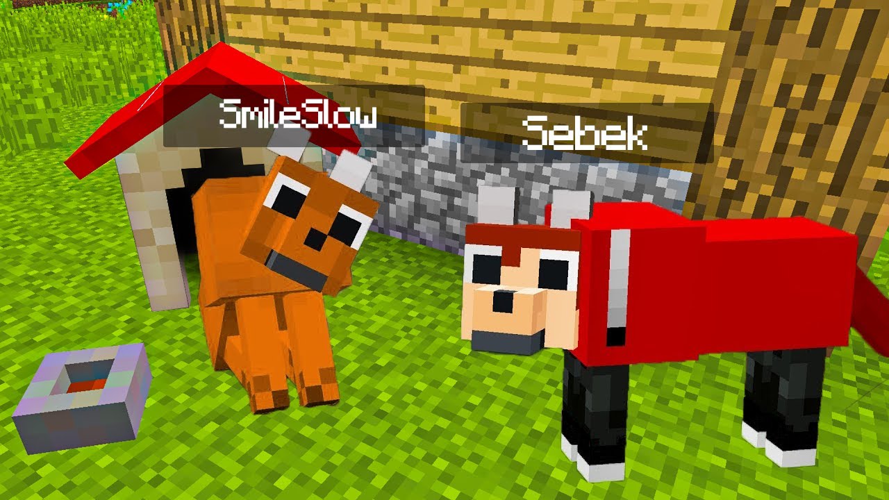 JAK MAŁY SmileSlow i Sebek PRZEKSZTAŁCAJĄ SIĘ w PSY w Minecraft! - YouTube