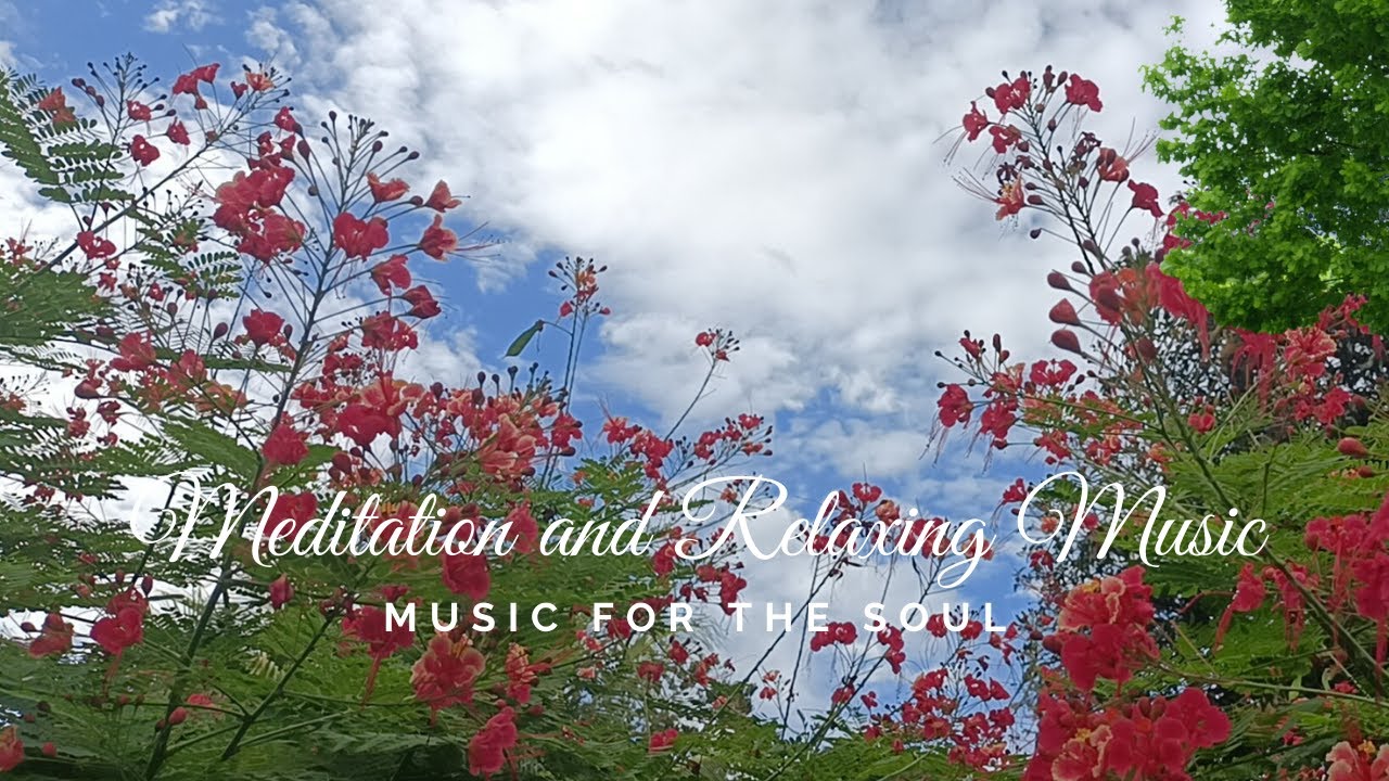 Relaxing Beautiful Music - Reflection Music || Non-Copyrighted Music ...