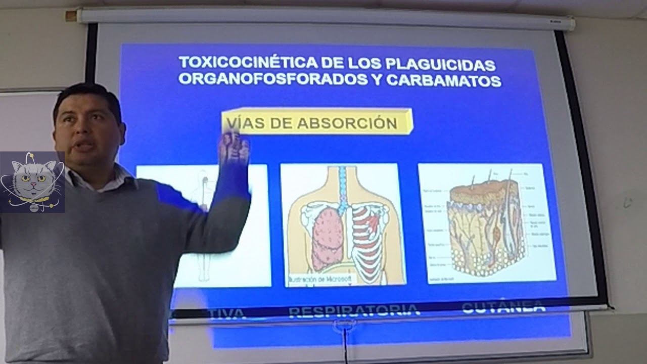 CLASE 3- TOXICOCINETICA Y TOXICODINAMIA (TOXICOLOGIA Y QUIMICA LEGAL ...