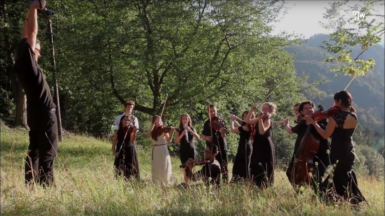 isa – International Summer Academy 2015 - YouTube