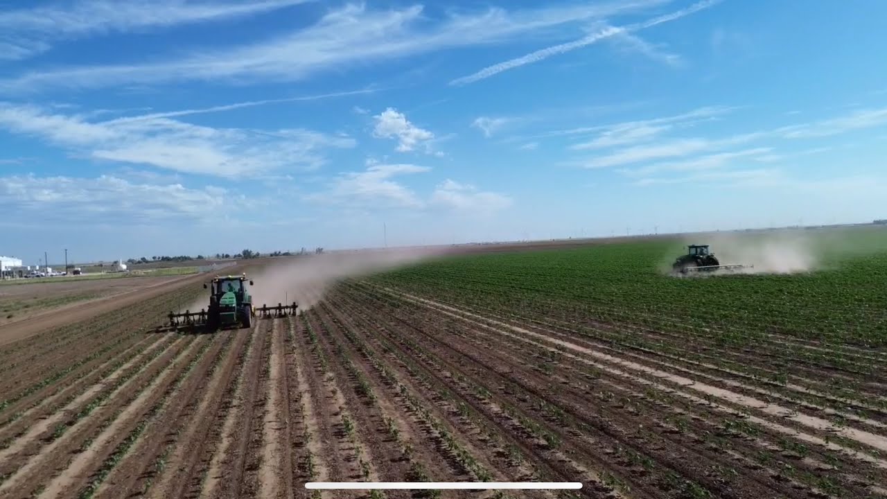 Two John Deere Tractors Chopping Stalks And Cultivating Cotton In West ...