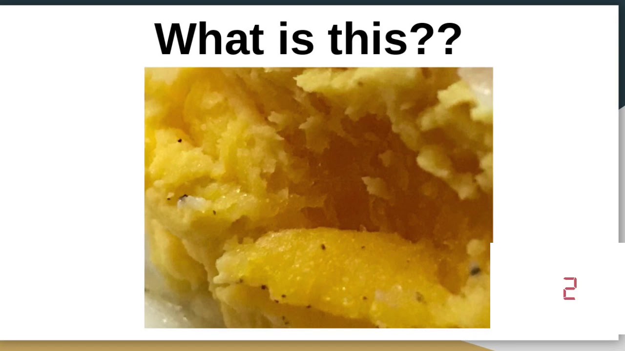 What Is This - Close Up Guessing Game - YouTube