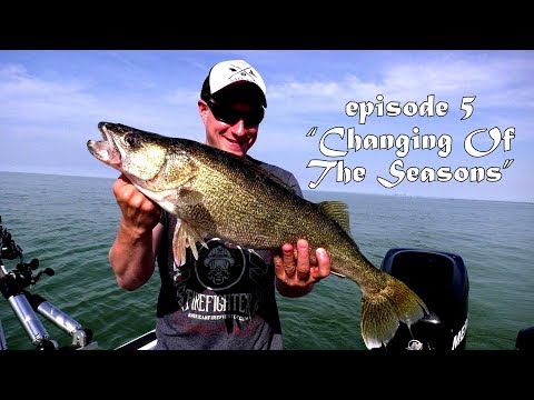 Turkey Hunting, Lake Erie WALLEYE Fishing | SBO LIVE S3E5
