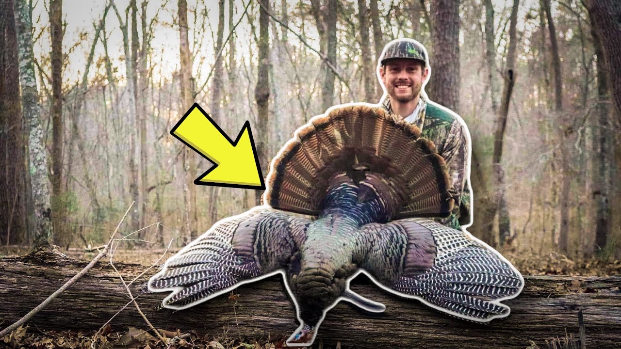 Mississippi Public Land Gobbler! (Southern Turkey Hunting) - YouTube