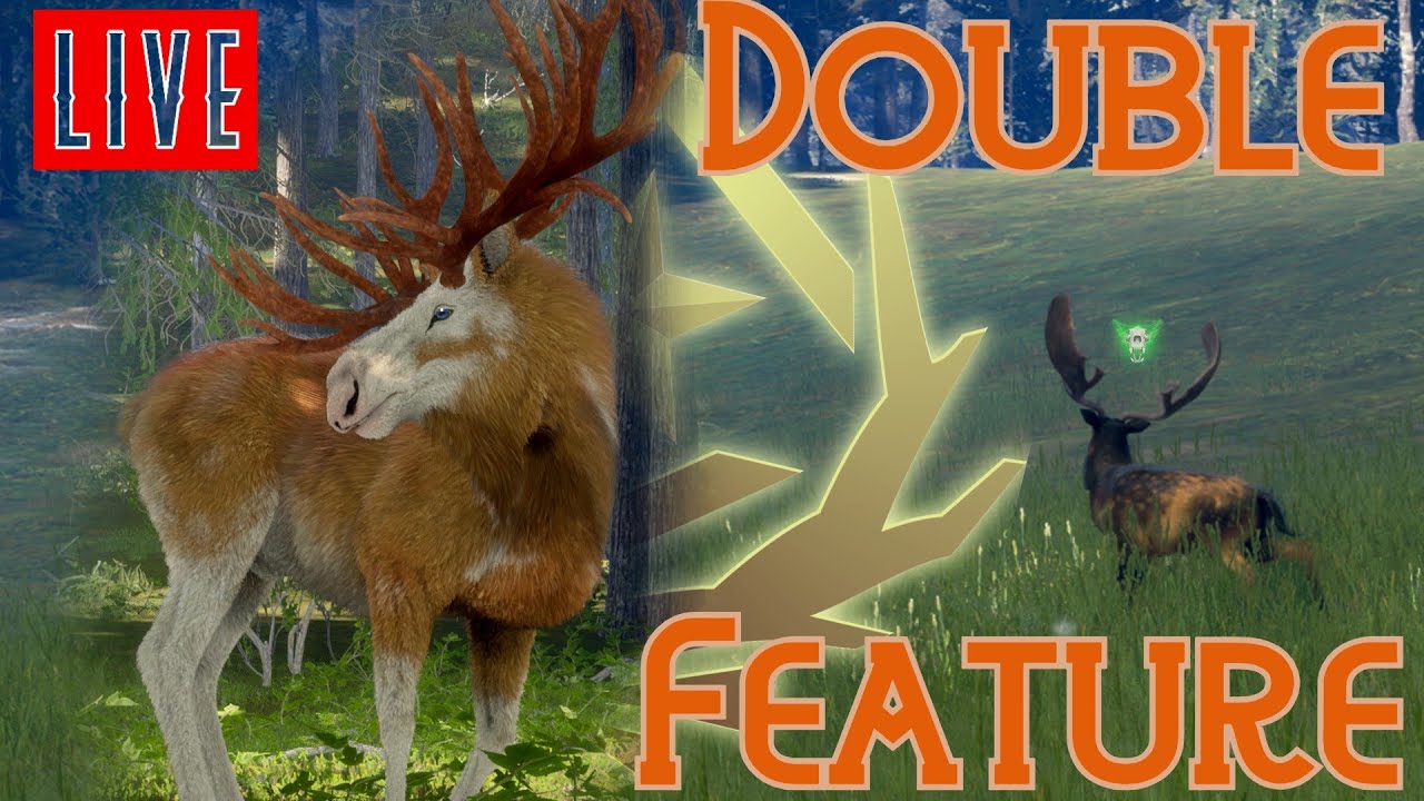 🔴LIVE! Let's Take Down a G1 Moose and Fallow! - YouTube