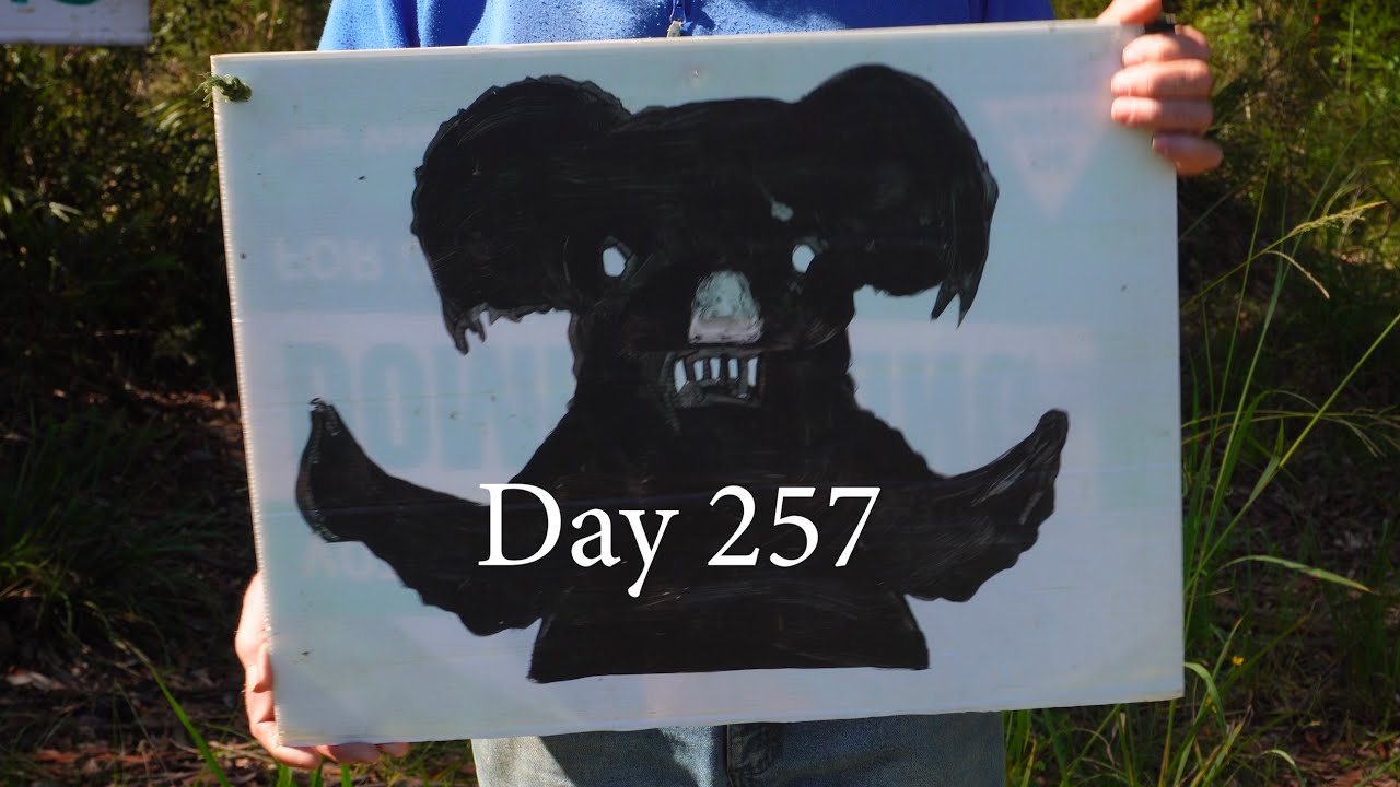 247 DAYS at Clouds Creek - YouTube