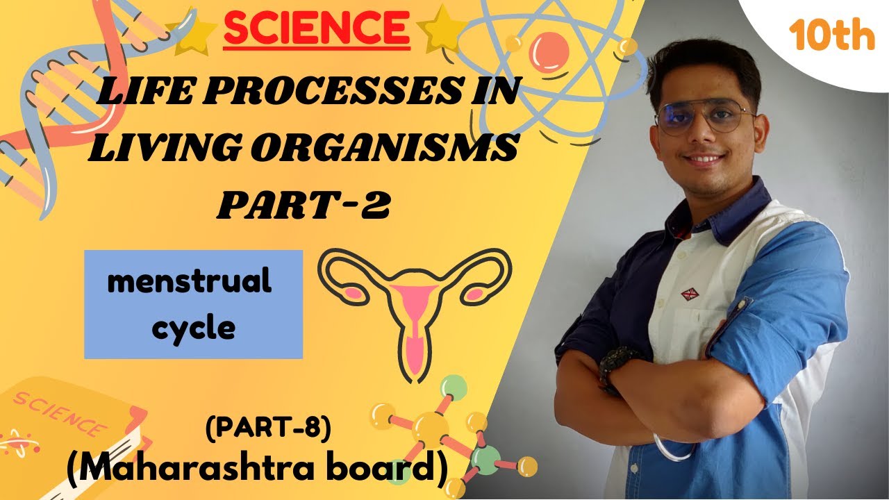 MENSTRUAL CYCLE!!! | LIFE PROCESSES IN LIVING ORGANISMS PART-2 | CLASS ...