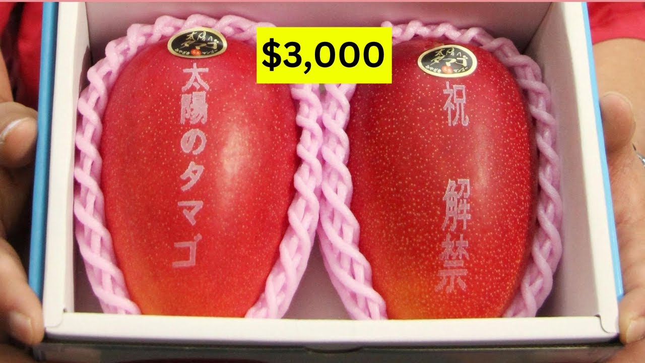 10 Most Expensive Fruits In The World - YouTube
