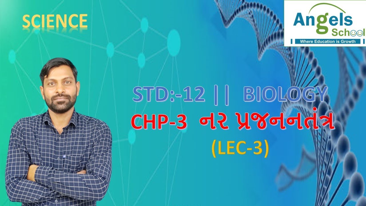 STD:-12 || BIOLOGY || CHP-3 || નર પ્રજનનતંત્ર || LEC-3 || - YouTube