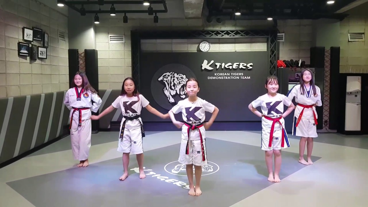 다이아-나랑사귈래 taekwondo dance.ver - YouTube
